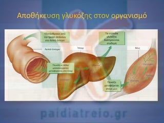 Υδατάνθρακες | PPTX