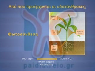 Υδατάνθρακες | PPTX