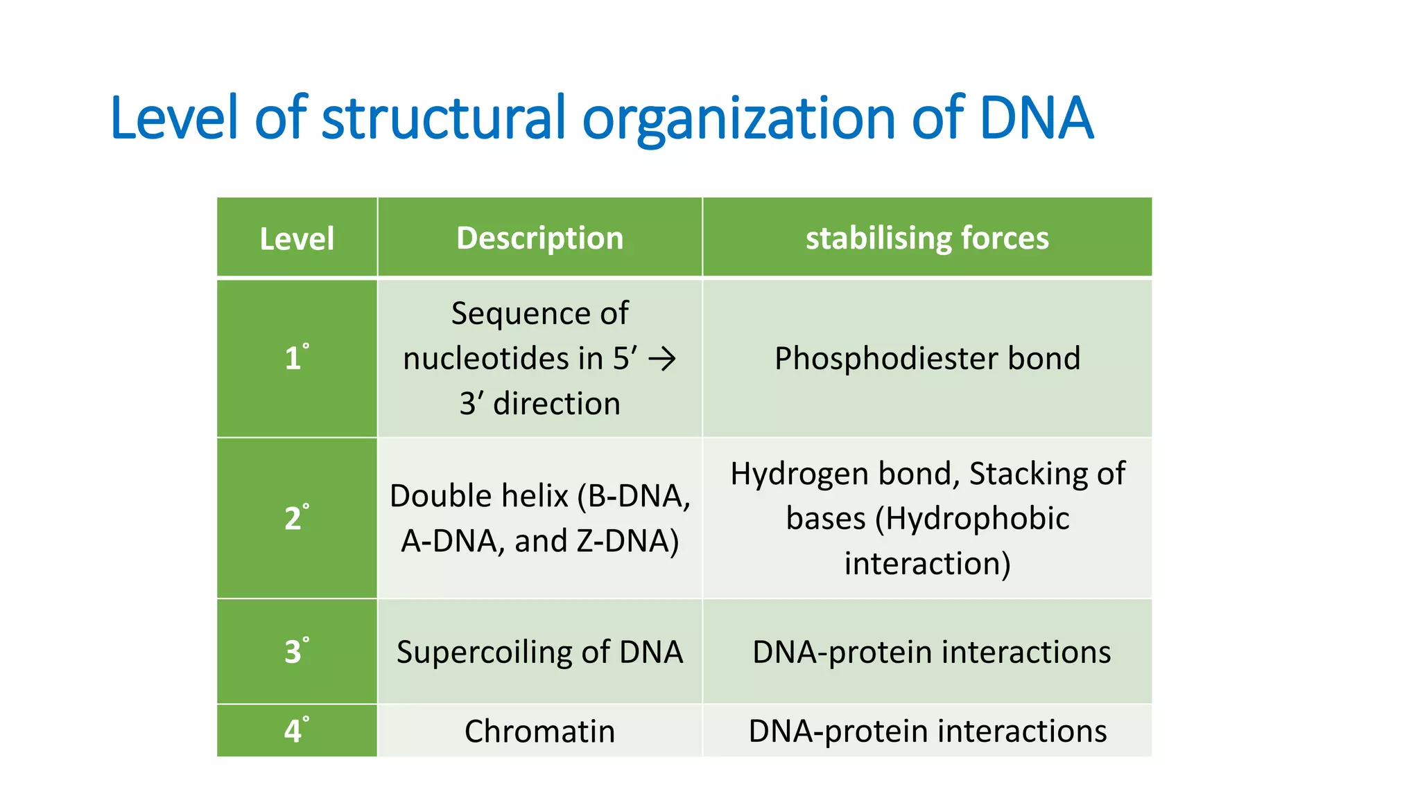 Organization of DNA | PPTX