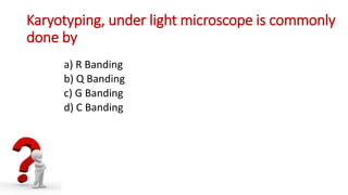Organization of DNA | PPTX
