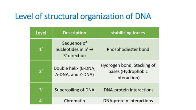 Organization of DNA | PPTX