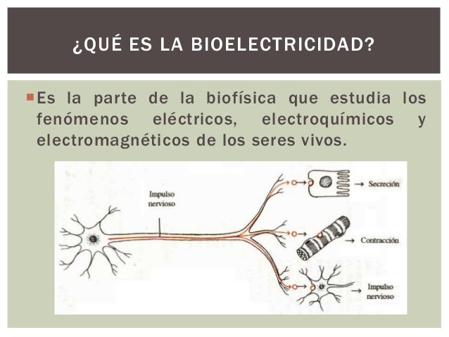 2.6 bioelectricidad representación 422 1 equipo#3