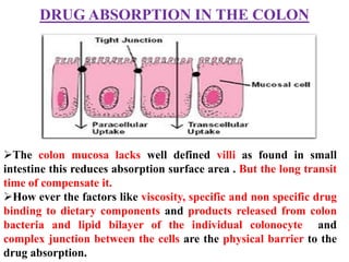 2.colon specific drug delivery system 2 nd sem | PPTX