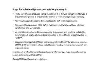 Drugs obtained from Plants | PDF