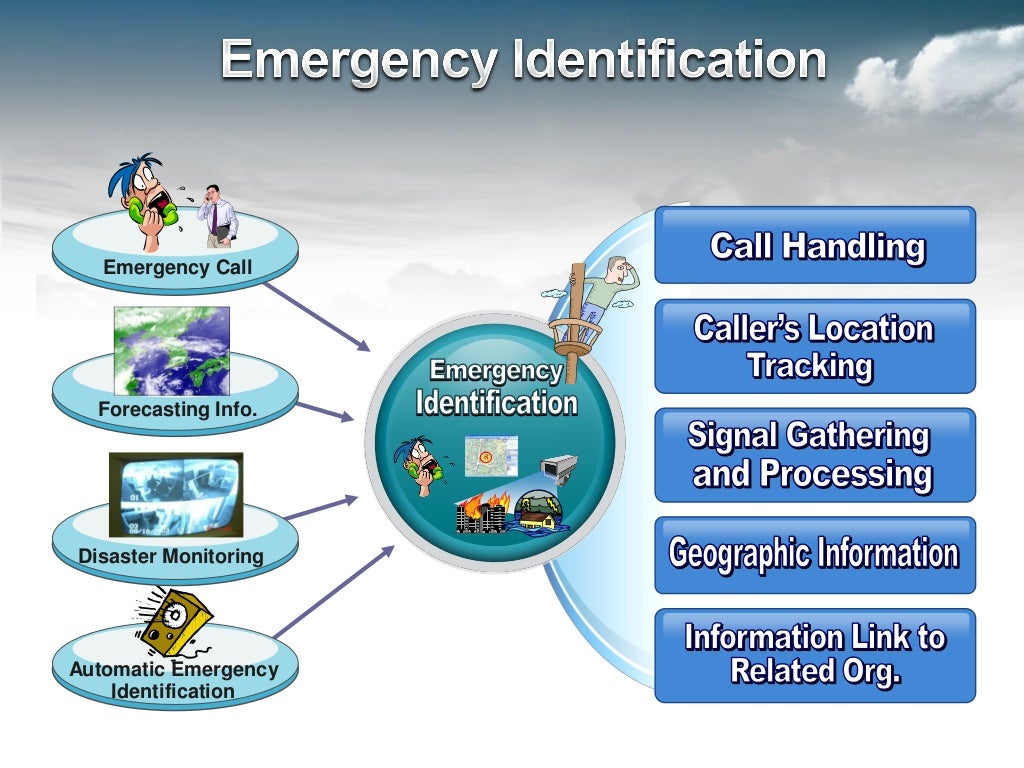 Integrated disaster management system and emergency management system