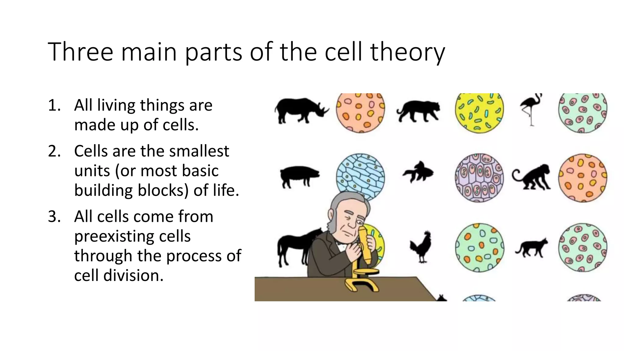 2.0 the cell theory UEC Senior 1 Biology 独中高一生物 | PPTX | Biological ...