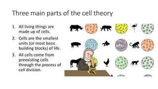 2.0 the cell theory UEC Senior 1 Biology 独中高一生物 | PPTX | Biological ...