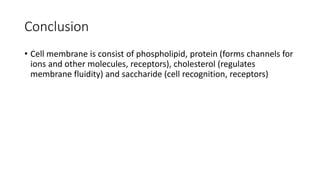 UEC Senior 1 Biology 独中高一生物 2.2.1 the cell membrane | PPTX