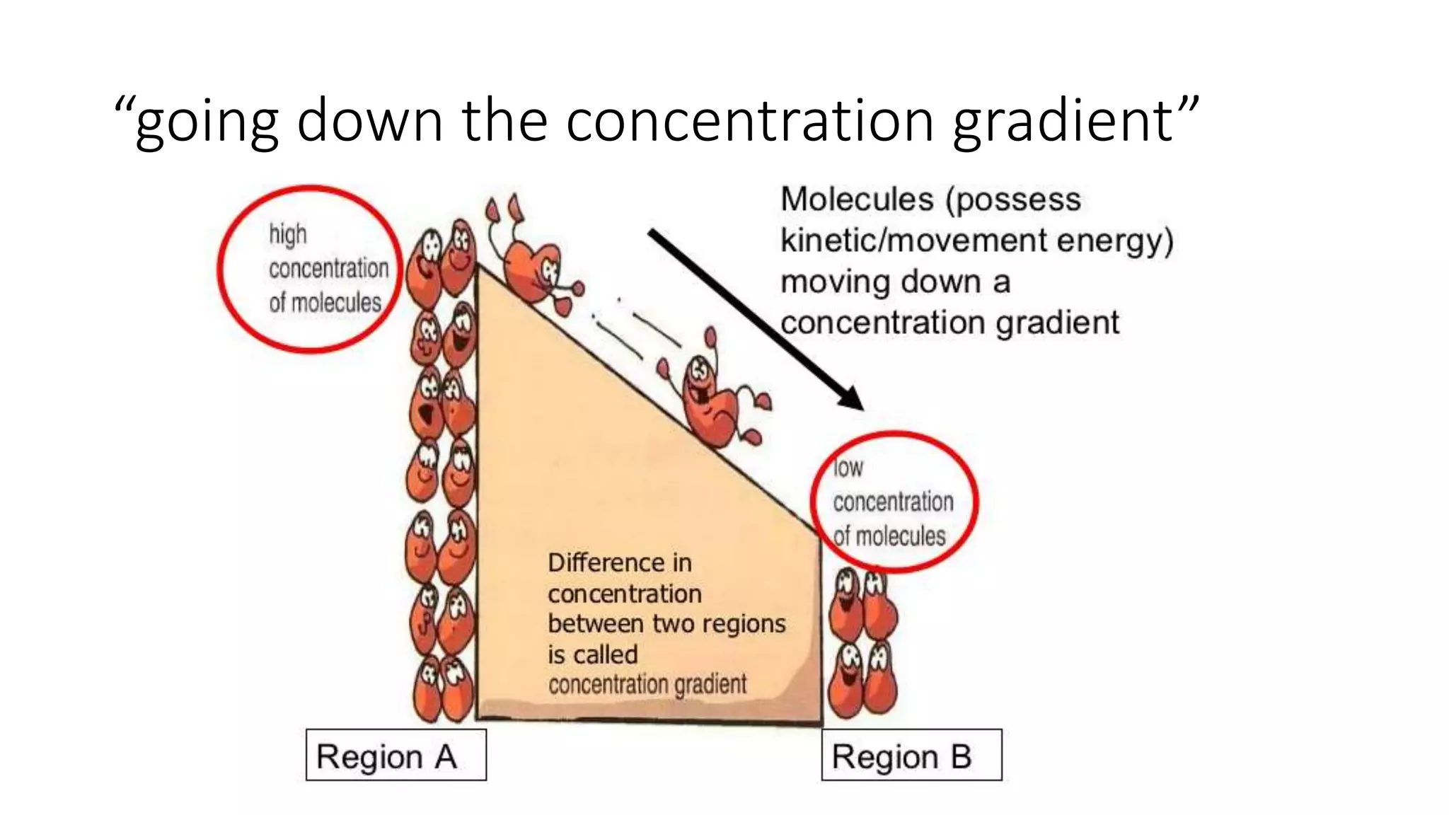 2.2.1.2 functions of the cell membrane UEC Senior 1 Biology 独中高一生物 | PPT