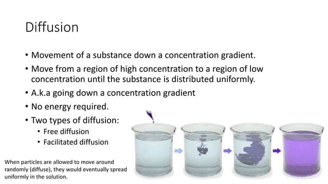 2.2.1.2 functions of the cell membrane UEC Senior 1 Biology 独中高一生物 | PPT