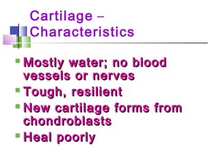 anatomy | PPT