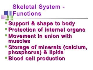 anatomy | PPT | Bone and Joint Conditions | Diseases and Conditions