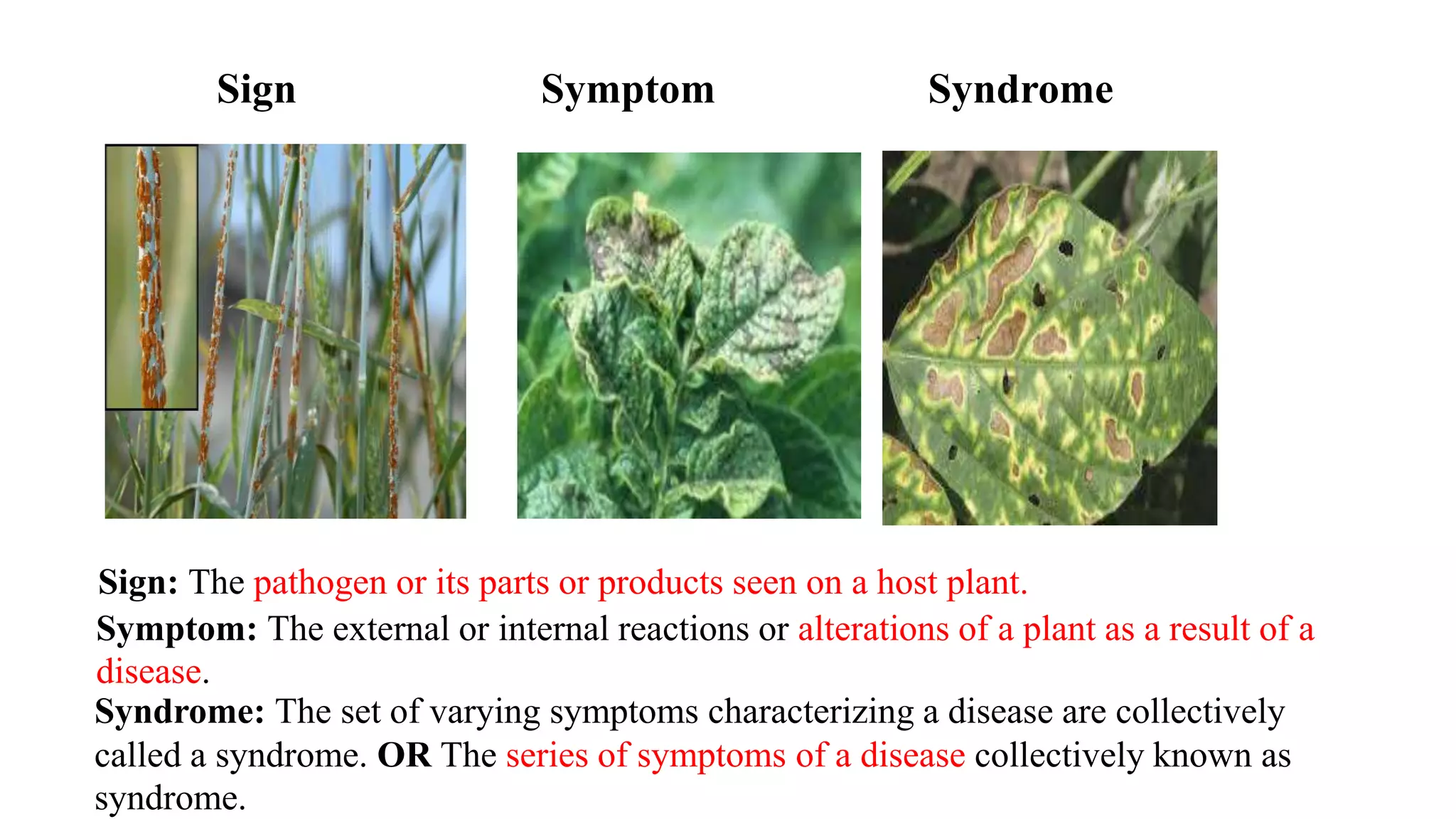 Terminologies of plant pathology | PPTX