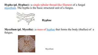 Terminologies of plant pathology | PPTX