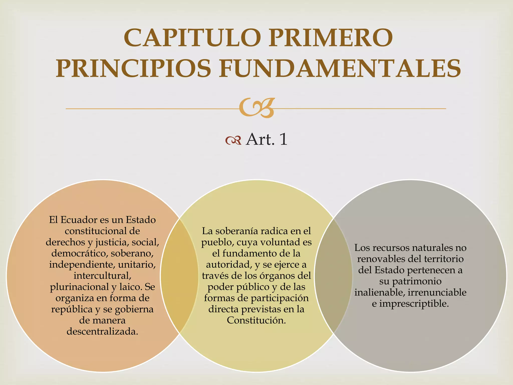 CAPÍTULO PRIMERO - PRINCIPIOS FUNDAMENTALES | PPTX