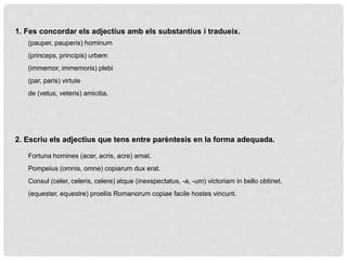 Els adjectius de la segona classe | PPT