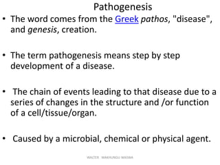 2. bacterial pathogenesis&lab diagnosis | PPTX | Digestive Disorders ...