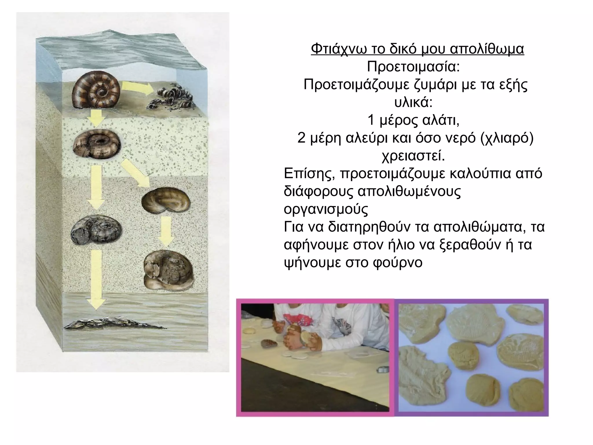 Απολιθωματα | PPT