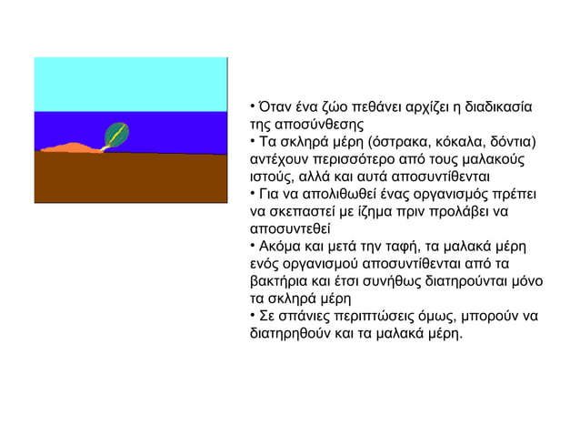 Απολιθωματα | PPT | Free Download