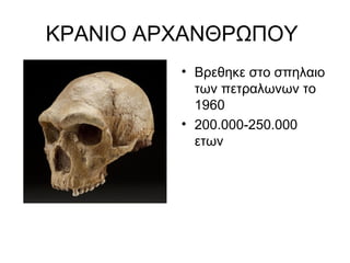 Απολιθωματα | PPT