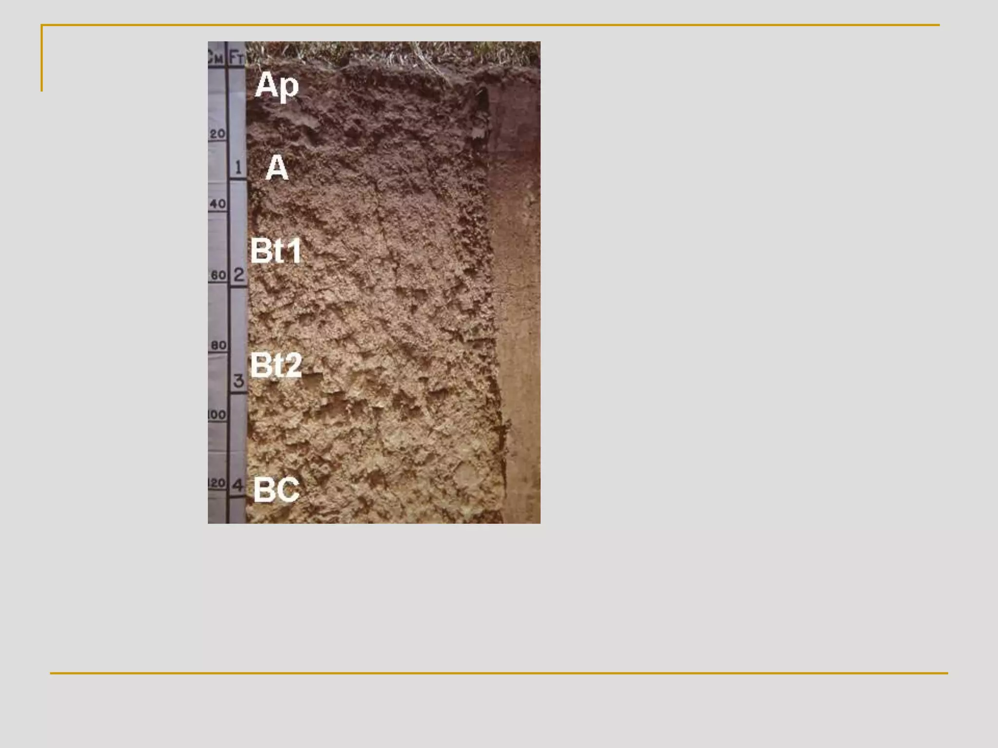 2. soil orders and their features | PPTX
