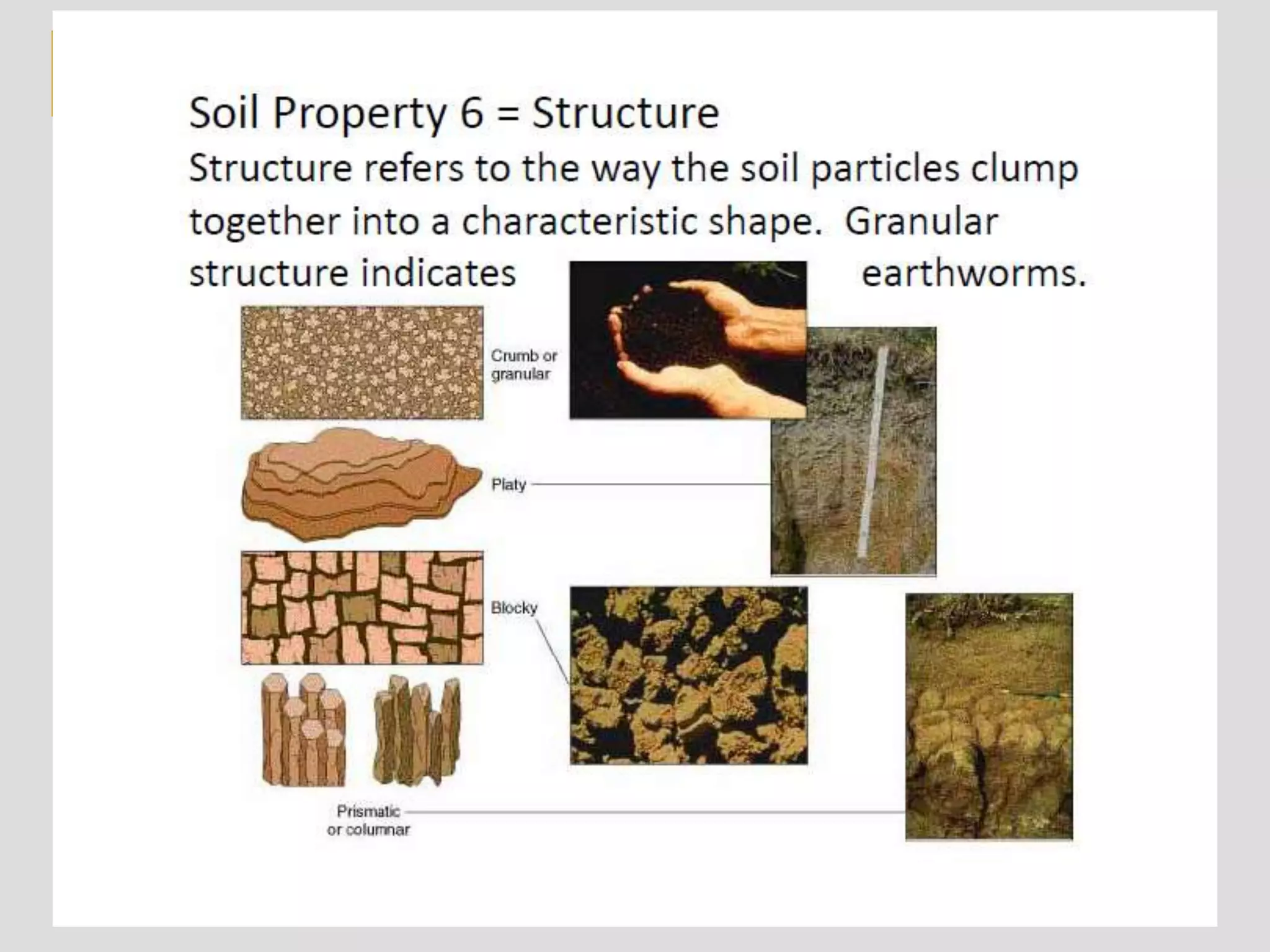 2. soil orders and their features | PPTX | Gardening | Home & Garden