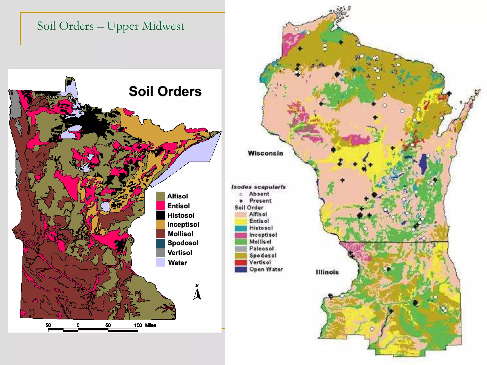 2. soil orders and their features | PPTX
