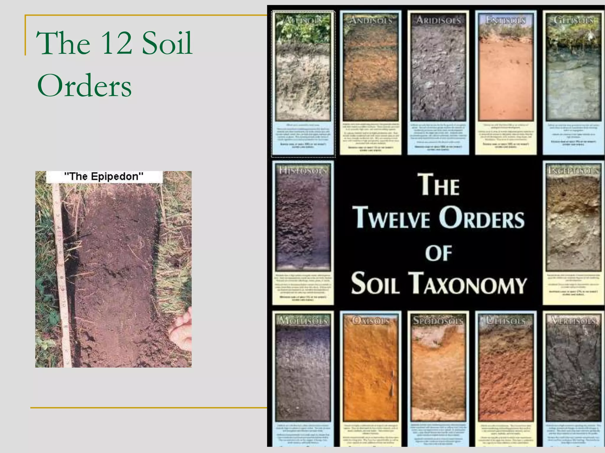 2. soil orders and their features | PPTX | Gardening | Home & Garden