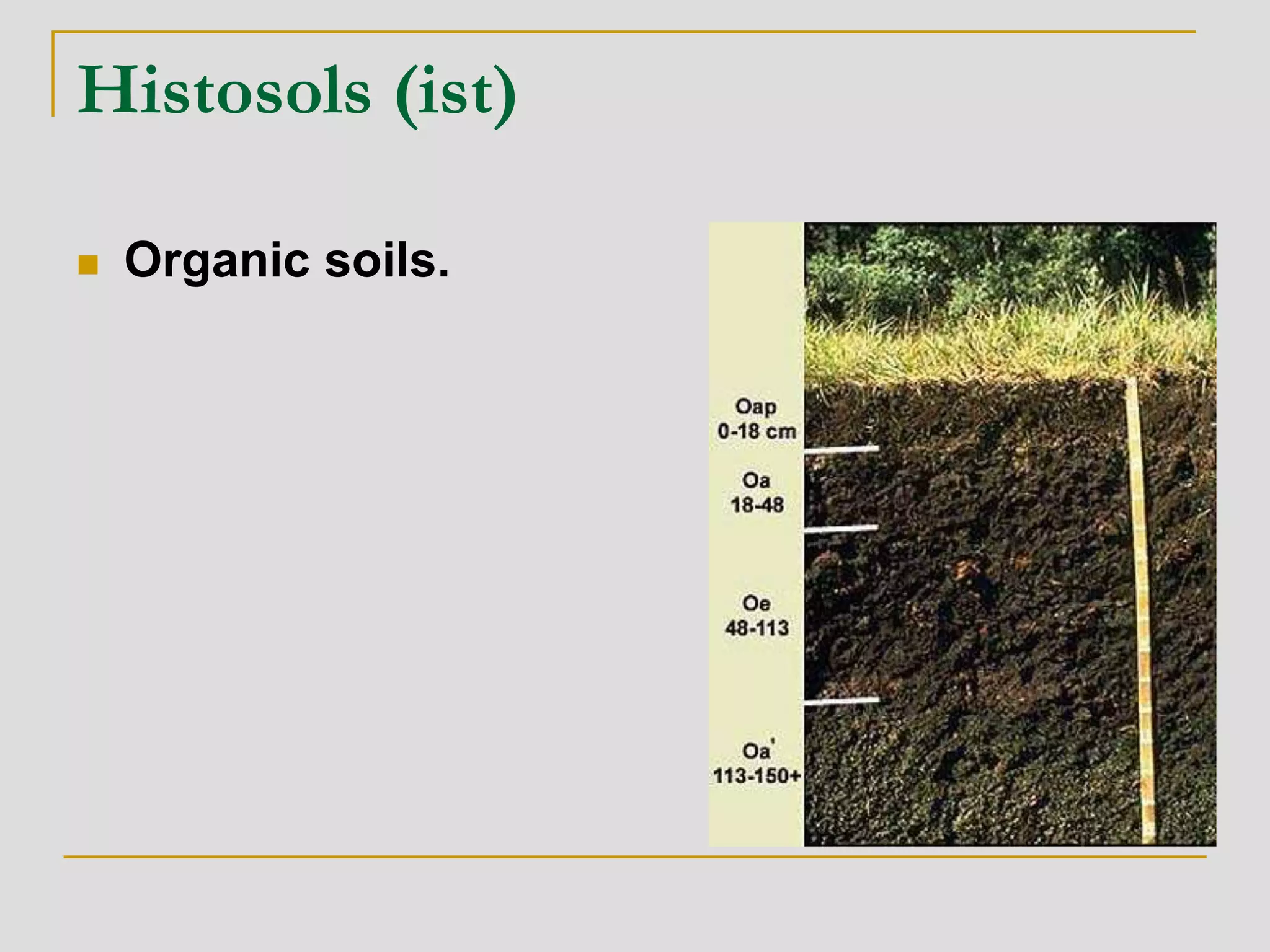 2. soil orders and their features | PPTX