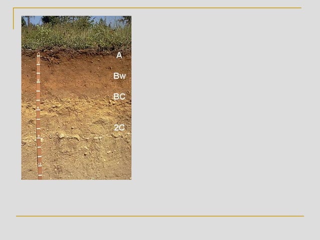 2. soil orders and their features | PPTX | Gardening | Home & Garden