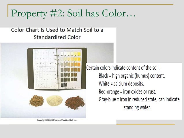2. soil orders and their features | PPTX | Gardening | Home & Garden