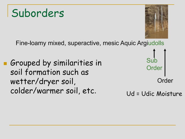 2. soil orders and their features | PPTX | Gardening | Home & Garden