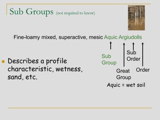 2. soil orders and their features | PPTX