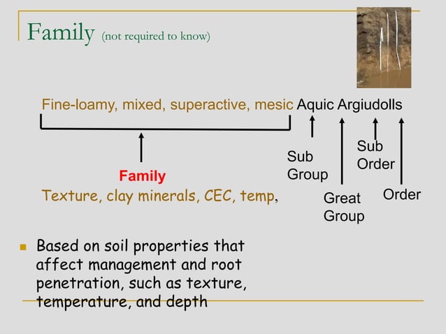 2. soil orders and their features | PPTX | Gardening | Home & Garden