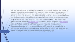 τα πνευστα οργανα α2 | PPTX