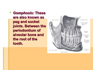 Connection of bones | PPT