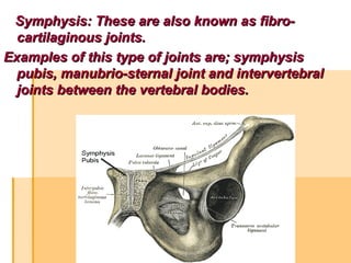 Connection of bones | PPT