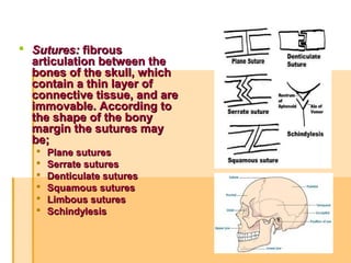 Connection of bones | PPT