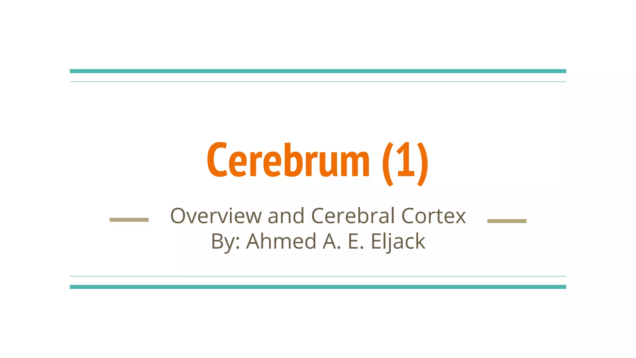Neuroanatomy | 2. Cerebrum (1) Overview and Cerebral Cortex | PDF