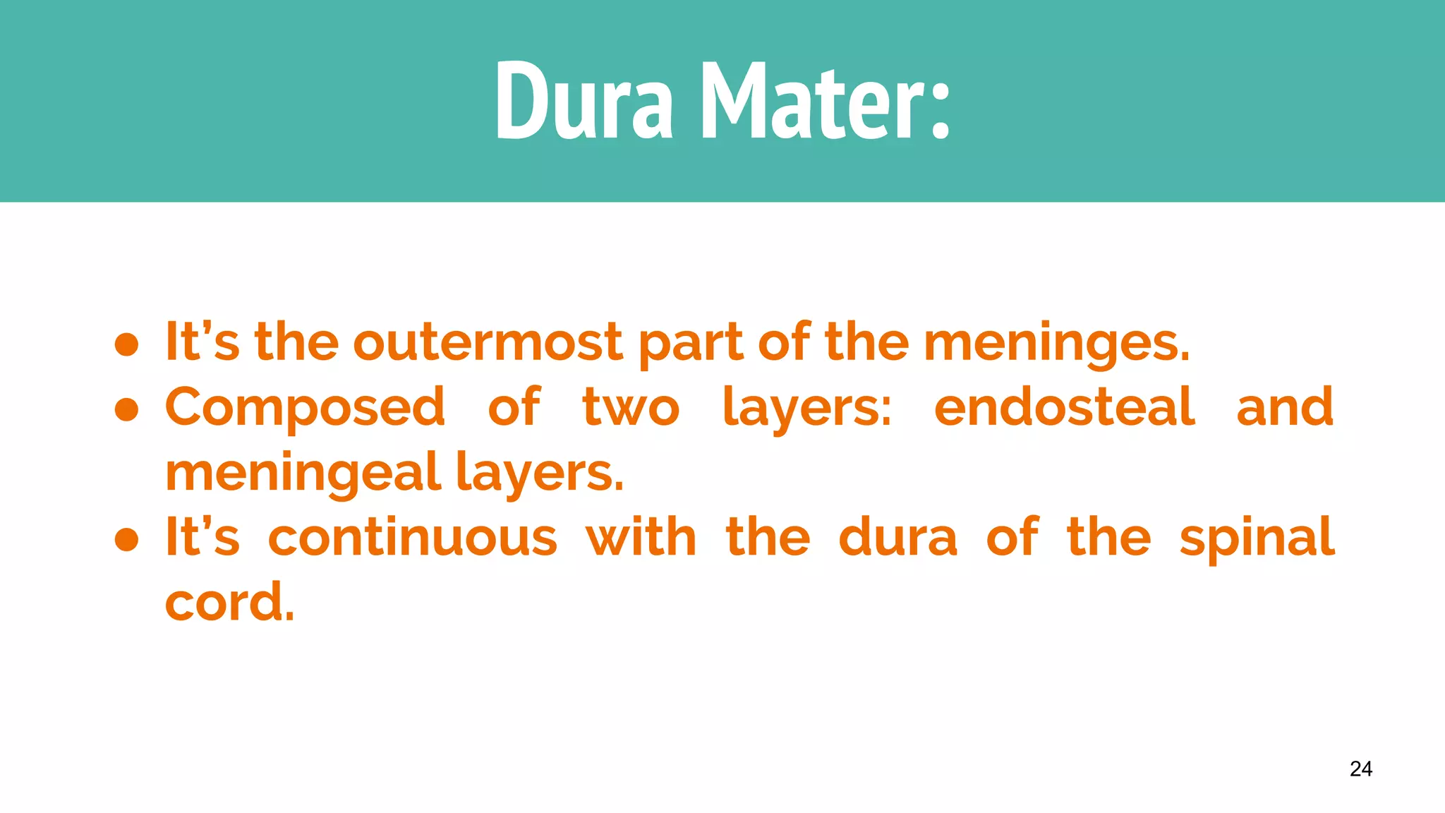 Neuroanatomy | 2. Cerebrum (1) Overview and Cerebral Cortex | PDF