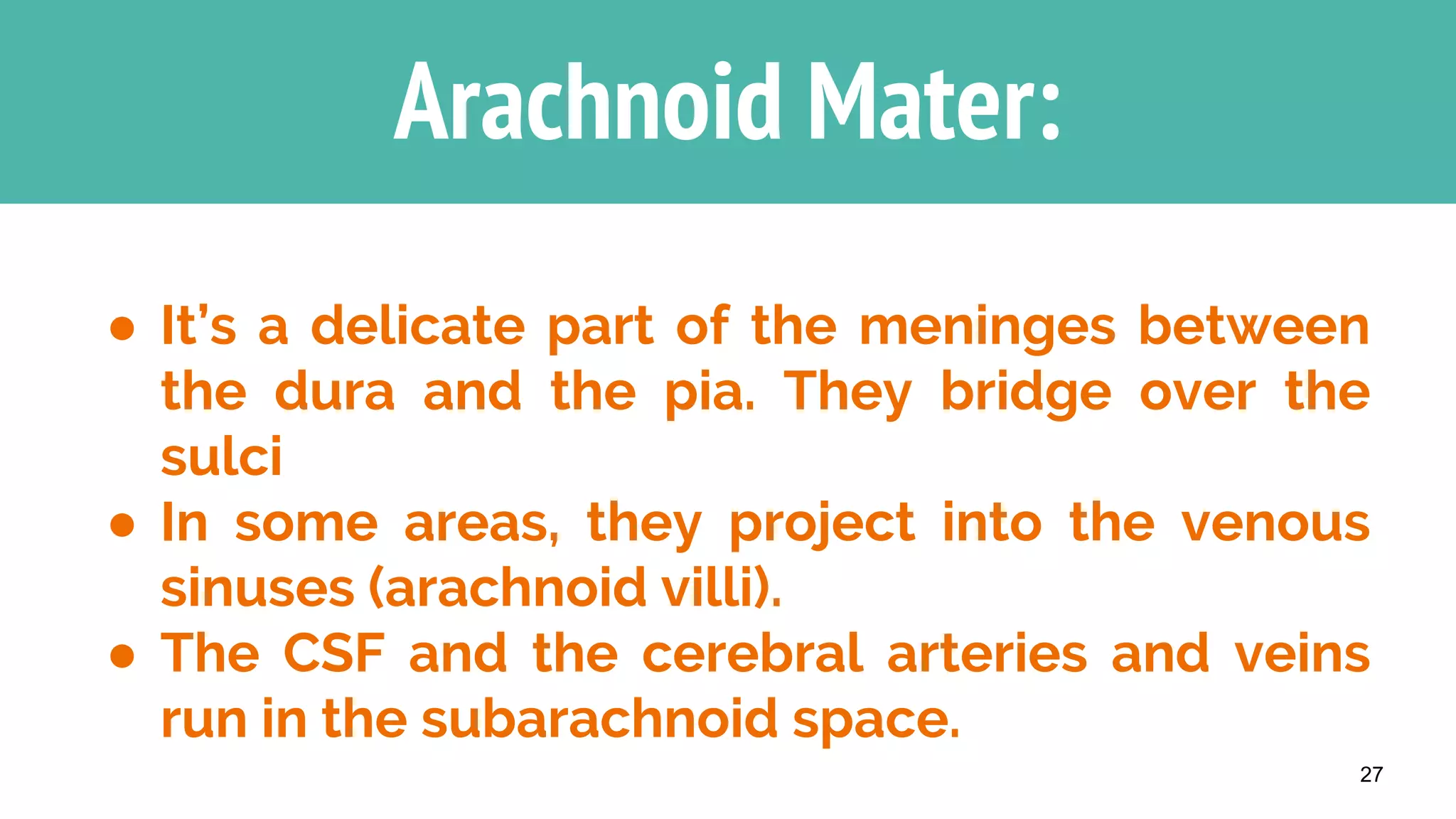 Neuroanatomy | 2. Cerebrum (1) Overview and Cerebral Cortex | PDF