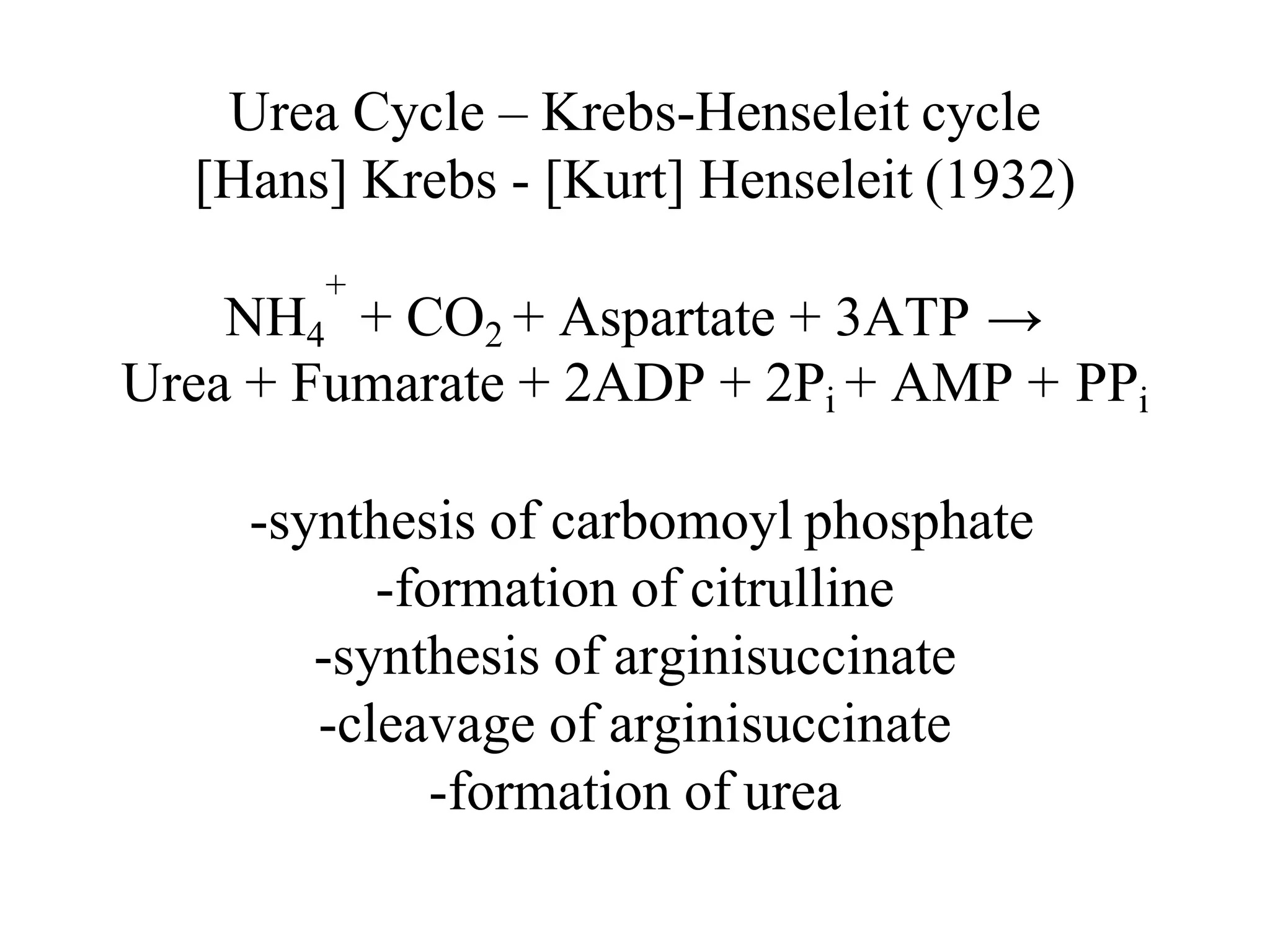 Metabolism of Amino Acids | PPTX