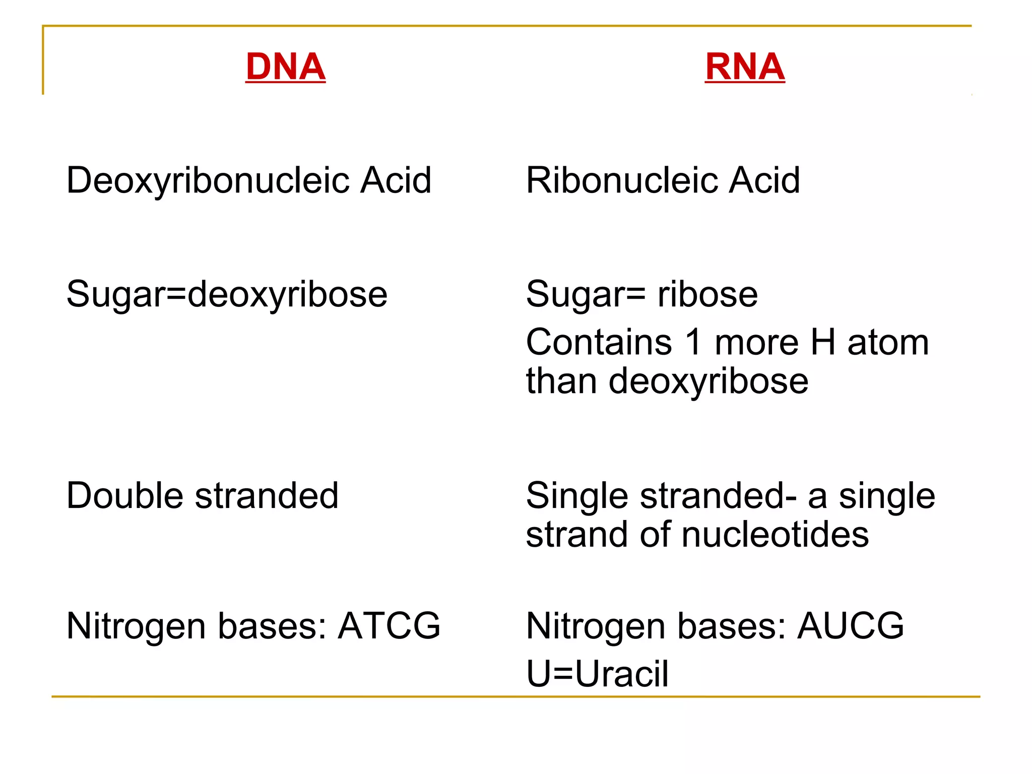 The Structure of DNA and RNA | PPT