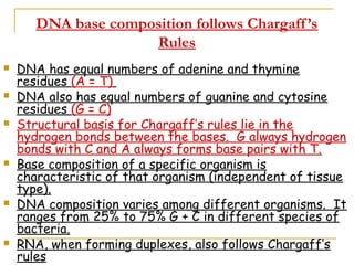 The Structure of DNA and RNA | PPT