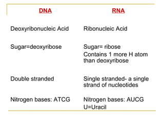 The Structure of DNA and RNA | PPT