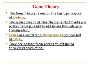The Structure of DNA and RNA | PPT