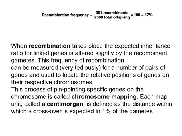 Chromosomal Theory Of Heredity Genetics Of A Sex Ppt