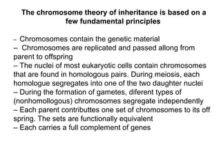 Chromosome Theory Of Inheritance