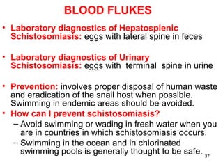 Class Trematoda. Tapeworms as parasites of human being | PPT