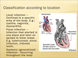Drug therapy of Infectious diseases | PPT